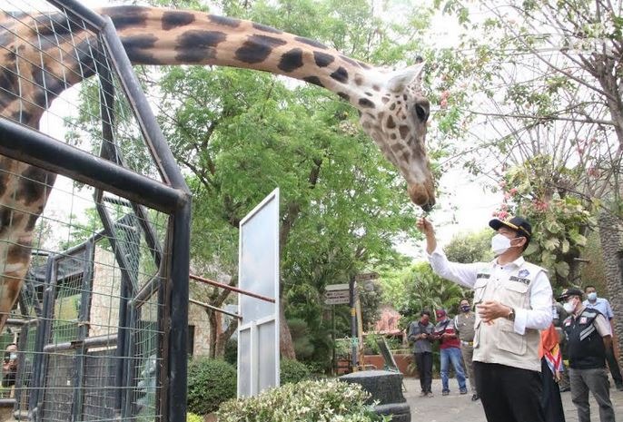 Wisata Maharani Zoo dan Goa Dibuka, Begini Syarat Kunjunginya