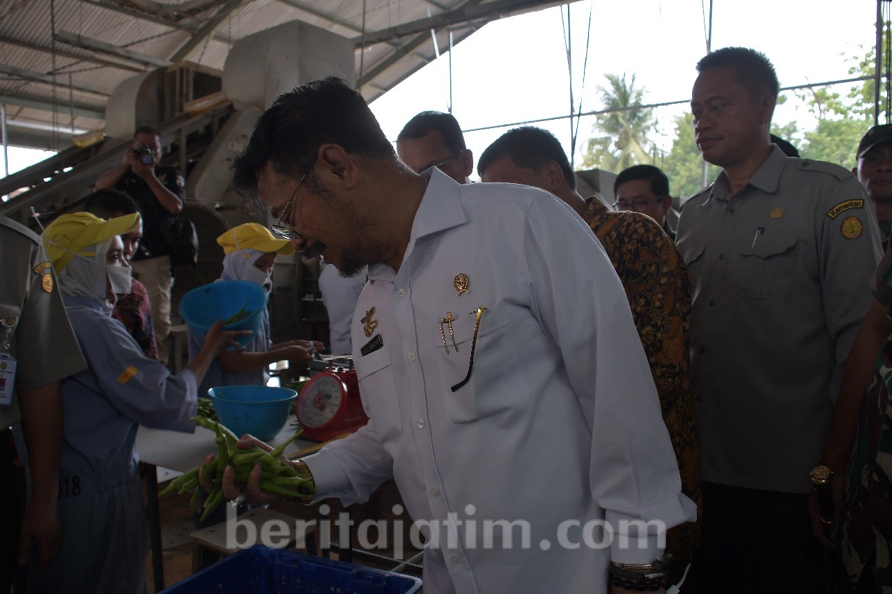 Menteri Pertanian Kaget Tahu Kualitas Edamame Jember