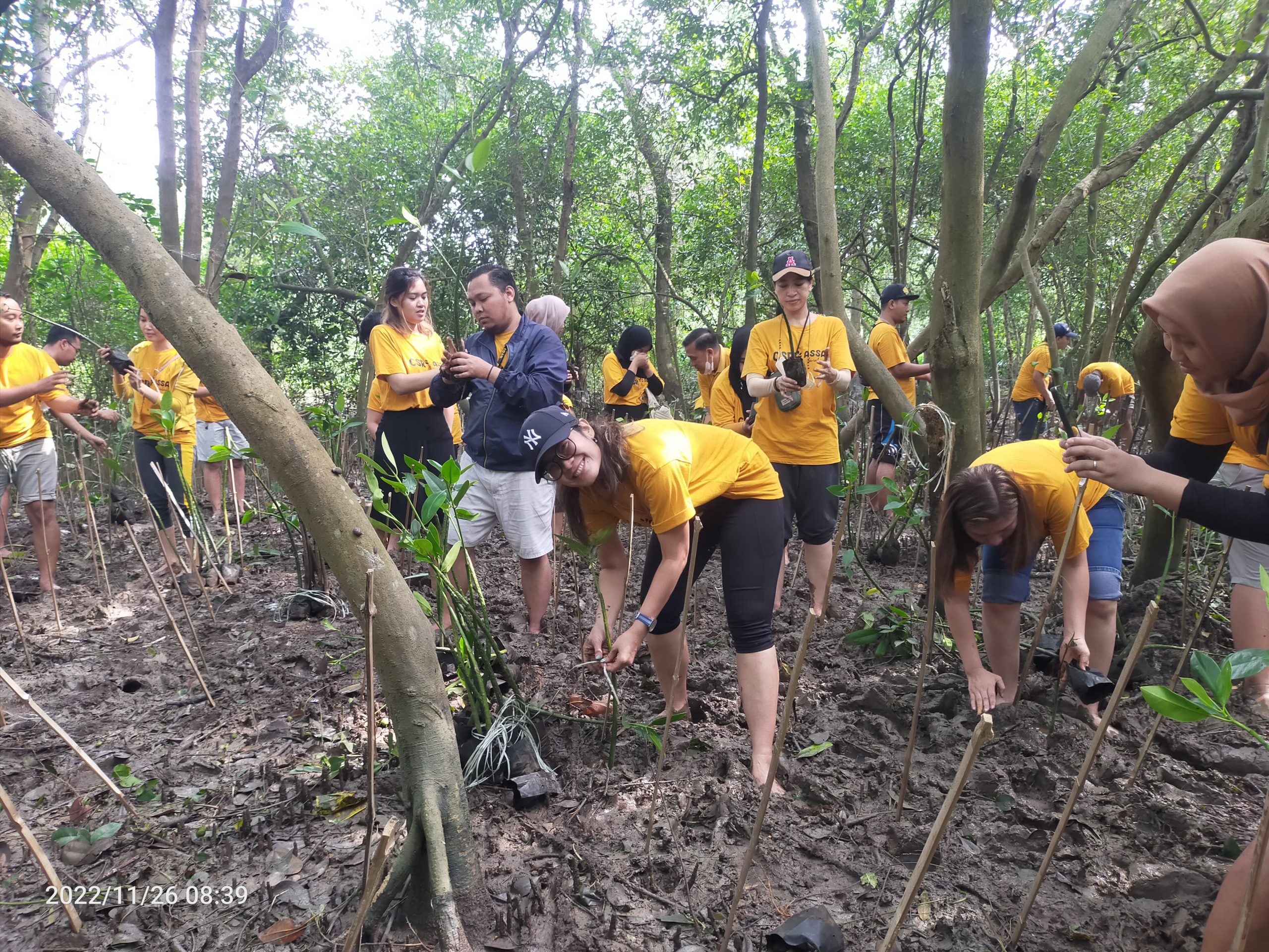 ASSA Rent Galakkan Penyelamatan Lingkungan Dengan Menanam Mangrove
